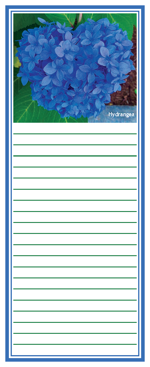 Note Pads – Images Blooming