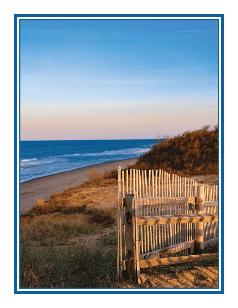 Note Cards: Cape Cod – 2 – Images Blooming